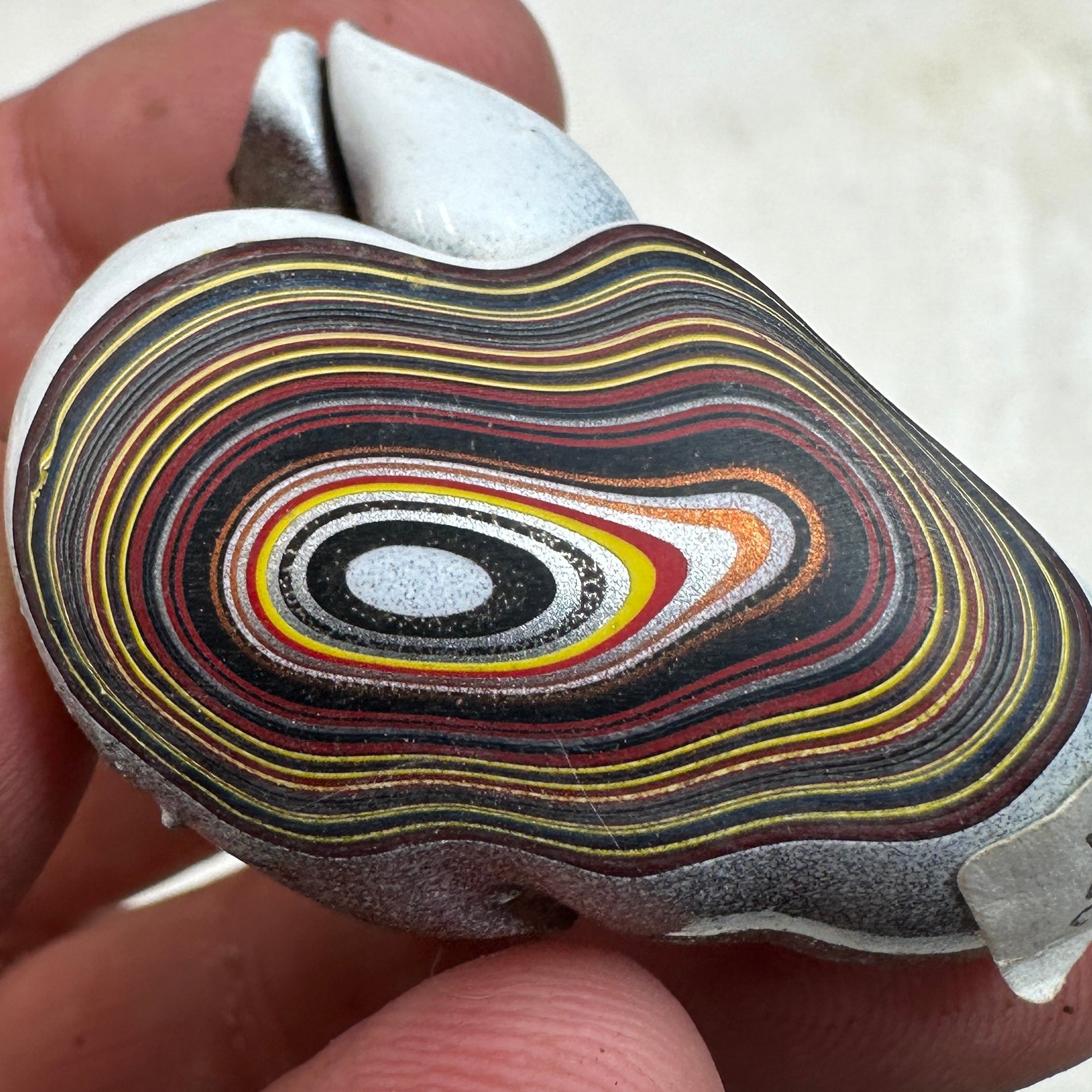 Fordite Rough – SilverHill Lapidary