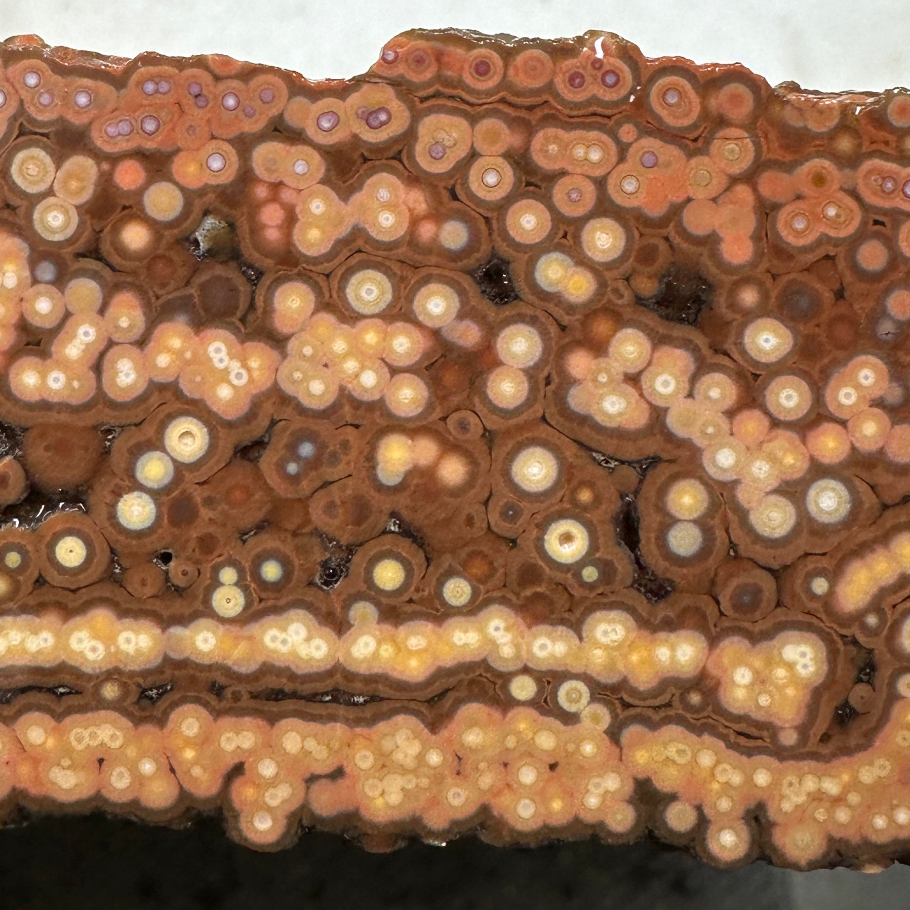 Slabs SilverHill Lapidary slabs-silverhill-lapidary