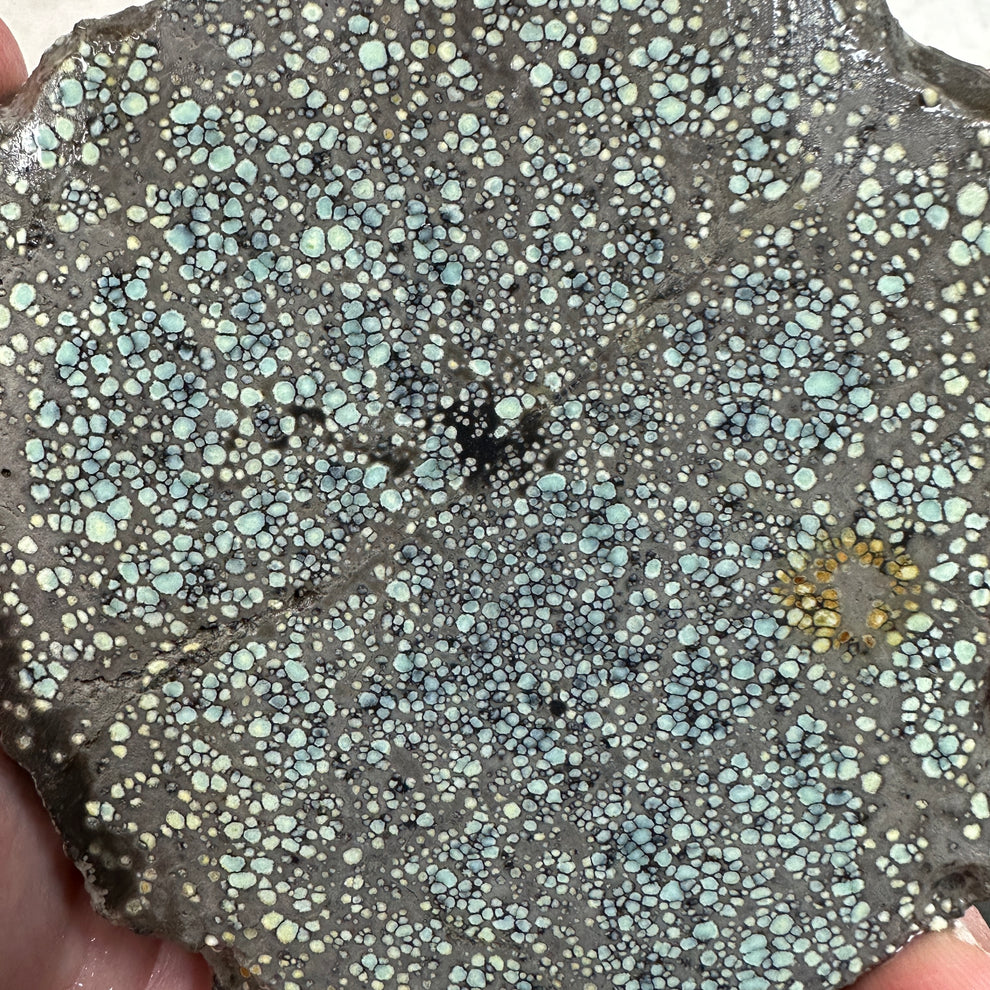 VISTA GRANDE VARISCITE Thick Slab - 158 grams – SilverHill Lapidary